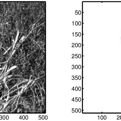 Detection Of A Tampering Attack Using Ica Based Fragile Watermarking