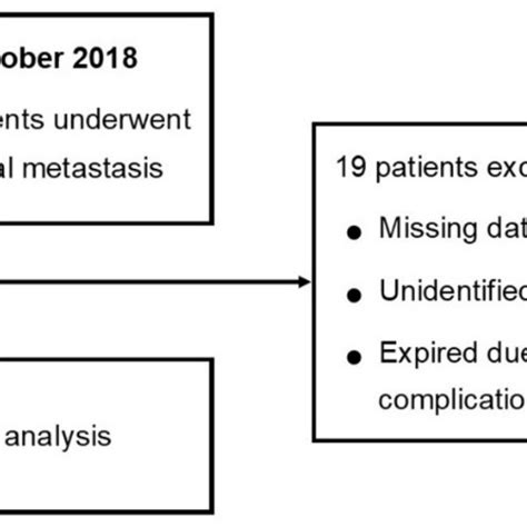 Flowchart For Patient Selection Abbreviations Nsclc Non Small Cell Download Scientific