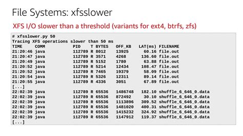 ReInvent2019 BPF Performance Analysis Pdf