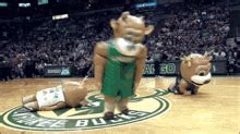 Milwaukee Bucks  Milwaukee Bucks Discover And Share S