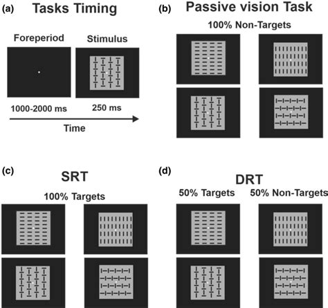Temporal Spectral Evolution Of Pre Stimulus Brain Activity In Visual And Visuomotor Tasks