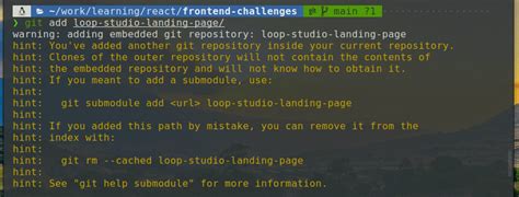 Put My Frontend Challenges Code In My Github Without Making 10 New