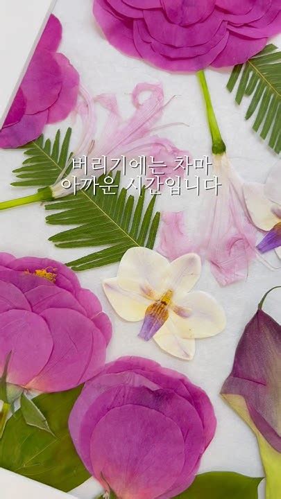 부케압화액자 부케말리기 압화 압화클래스 Youtube