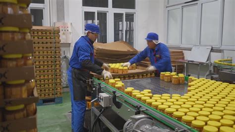 江苏扬州：农业重大项目加速推进 为乡村振兴蓄势赋能 荔枝网新闻