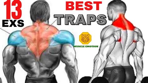 TRAP WORKOUT MASSIVE 13 Best Exercices For Bigger Traps