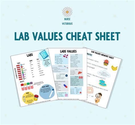 lab values cheat sheet with memory tricks nclex nursing notes etsy