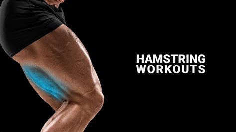 Muscular Hamstrings Muscular Hamstrings
