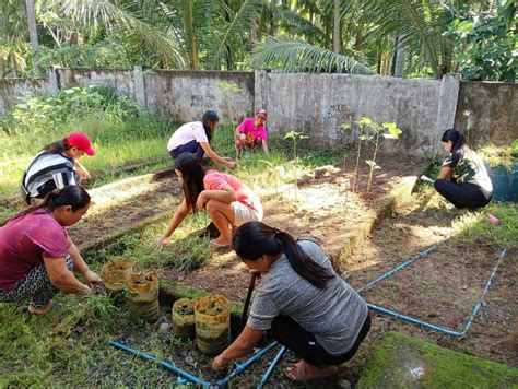 Deped Tayo Kalilayan Es Quezon Province Brigadahero