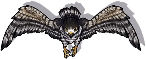 Hawk Token By Caeora On Deviantart