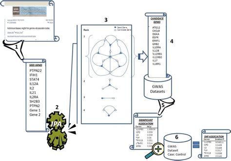 Schematic Representation Of Mina Workflow Numbers In Bold Represent
