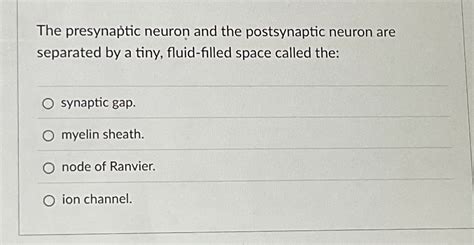 solved the presynaptic neuron and the pothe presynaptic