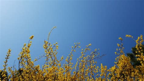 마티즈 크리에이티브스파크 중고차 엔진경고등차량점검하기정비수리 작업기 네이버 블로그