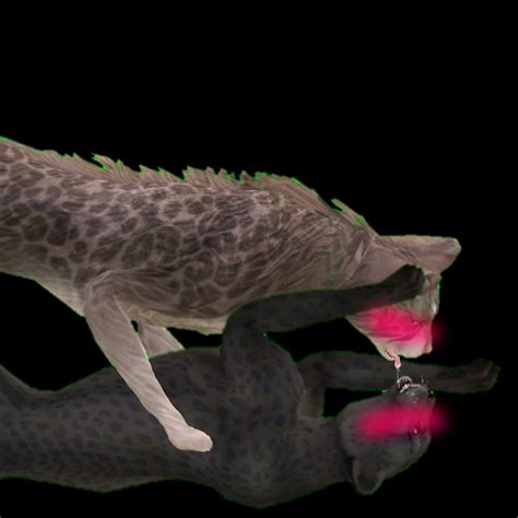 Rule 34 Black Background Black Fur Blush Brown Fur Cheetah Feral