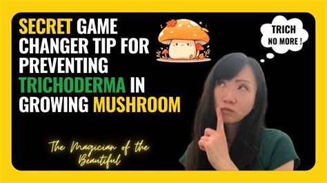 Secret Tip To Prevent Trichoderma In Mushroom Growing Contamination