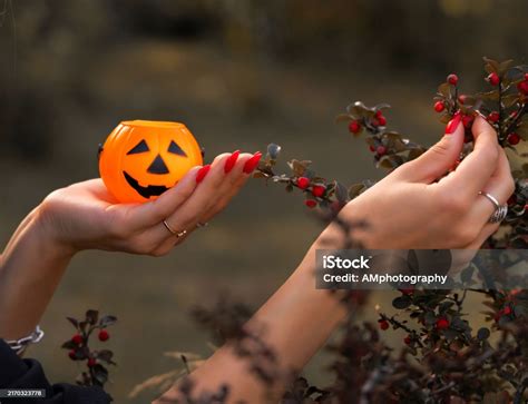 마녀 모자에 여자 손에 작은 호박 양동이 공원소녀 덤불에서 딸기를 따고 풀밭에 앉아 휴대 전화를 사용하여할로윈 가을 기간검은 드레스에 아름 다운 여성 10월에 대한 스톡