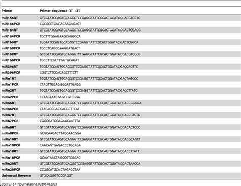 Stem Loop Rt And Pcr Primer Sequences For Five Selected Mirnas