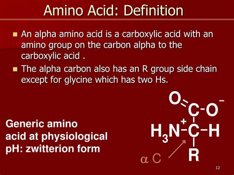 Amino Acid Definition