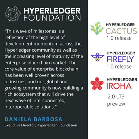 Hyperledger Foundation Anuncia Hitos De Desarrollo Para Tres Proyectos Planes Para Hyperledger