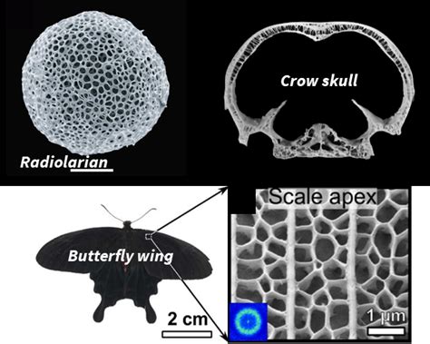 Tapping Into The Design Space Of Irregular Geometry Act Of Esa