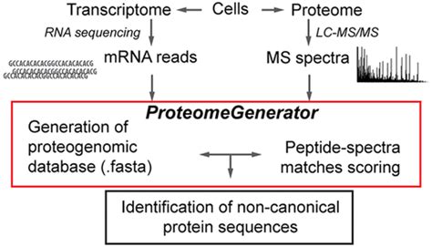 Proteomegenerator A Framework For Comprehensive Proteomics Based On De Novo Transcriptome