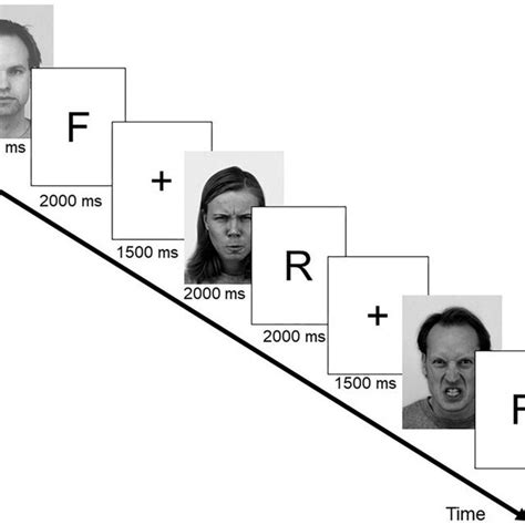 Exemplary Trial Sequence And Timing Parameters For The Encoding Phase Download Scientific