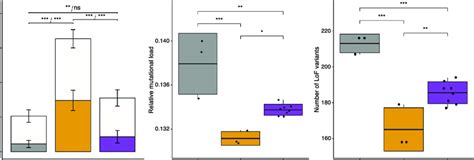Inbreeding Relative Mutational Load And Number Of Loss Of Function