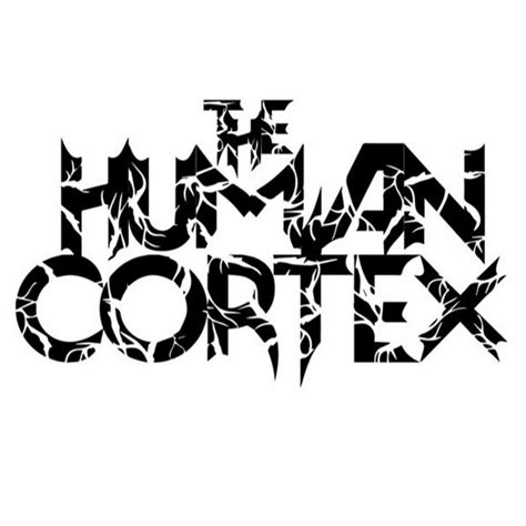 The Human Cortex Youtube