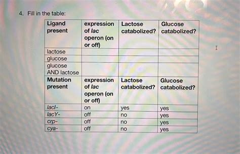 Solved 4 Fill In The Table