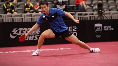 【卓球】隙を突くフォアハンドドライブ！両ハンドのカットが特徴、ワン・ヤン選手【男子】 Wang Yang【table Tennis