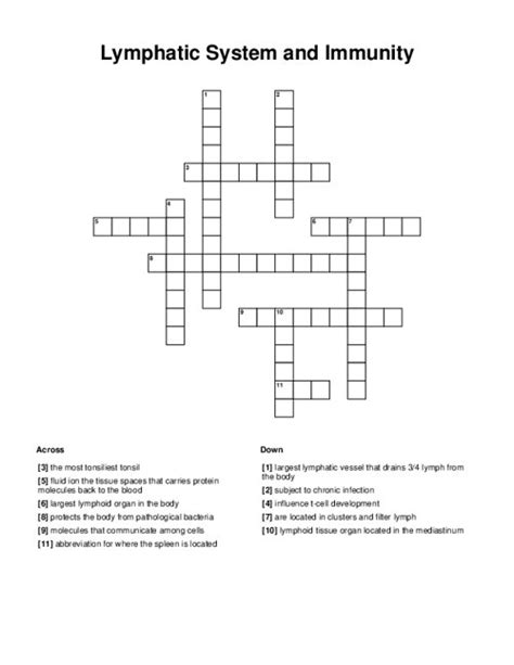Lymphatic System And Immunity Crossword Puzzle