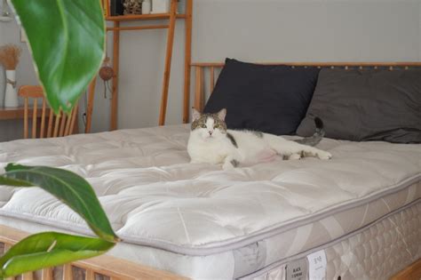 한샘 포시즌 매트리스 꺼짐없는 편안함으로 침대피로 해결 2주 후기 네이버 블로그