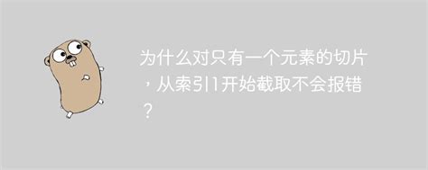 为什么对只有一个元素的切片，从索引1开始截取不会报错？ 美云
