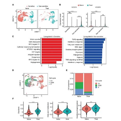 Single Cell RNA Sequencing ScRNA Seq Profiling Of The Tumor