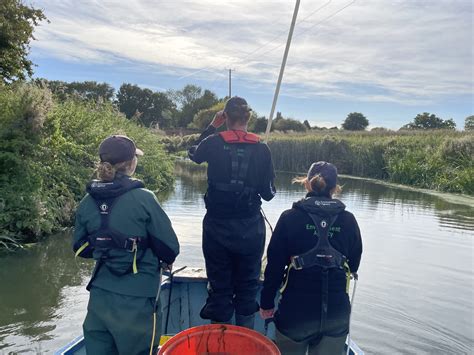 The Different Types Of Fish Monitoring Creating A Better Place The Different Types Of Fish Monitoring Creating A Better Place