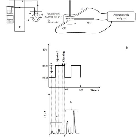 A Schematic Diagram Of The Flow System Used For Evaluation Of Treated Download Scientific