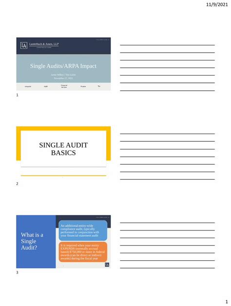 Pdf Single Audit Basics Dokumentips