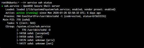 常用的50个linux命令行 Csdn博客