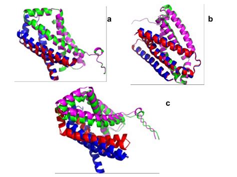 The Superposition Of The Native Structure Of A Heterodimer Pdb Code Download Scientific