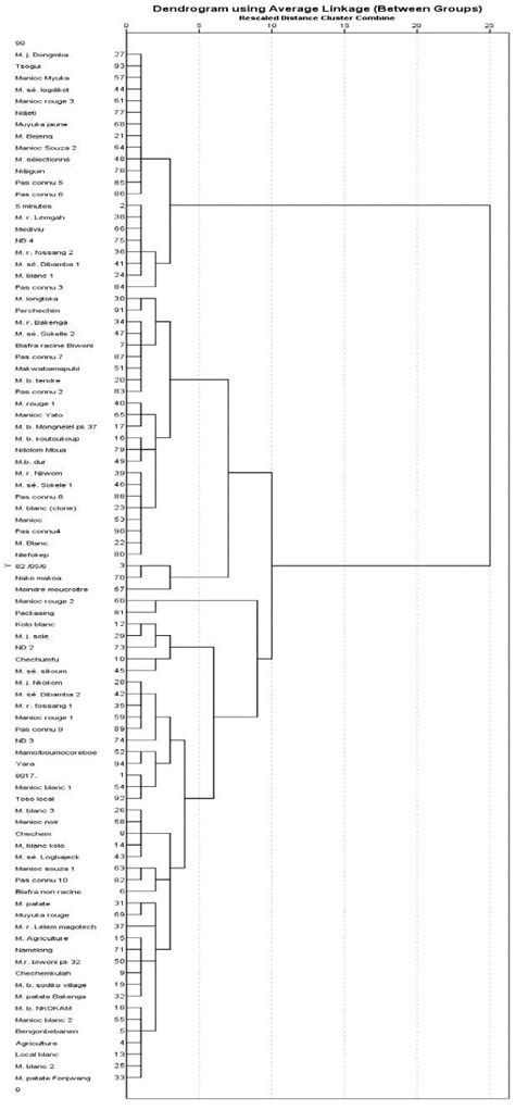 ascending hierarchical classification ahc of the 96 cassava