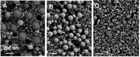 Sem Micrographs Of Particles Prepared From Monomers 2 4 In A C Download Scientific Diagram