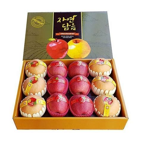 사과 배 과일혼합세트 5kg이상 추석 설날 선물세트 싱싱한 프리미엄 가을 티몬