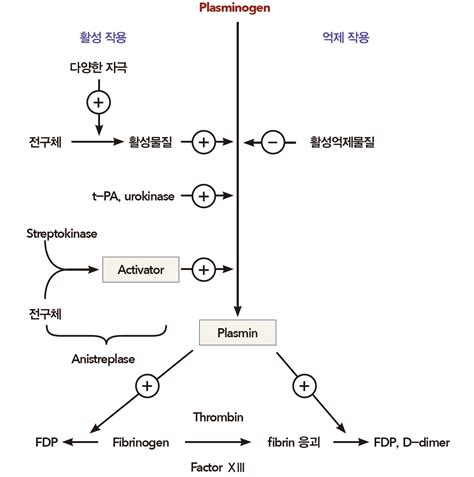 혈전용해제thrombolytics Metamedic