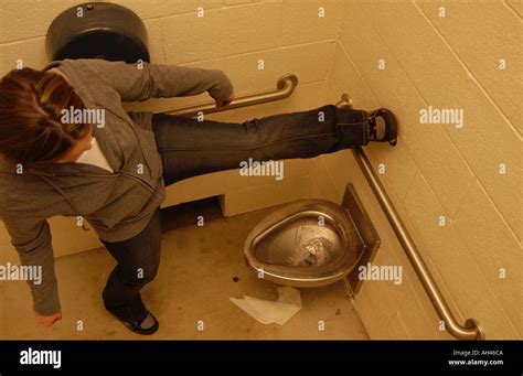 Public Bathroom Toilet Flush
