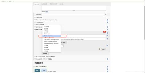 【devops】jenkins部署，构建界面隐藏参数jenkins Hidden Parameter Csdn博客