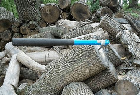 How To Find The Best Hookaroon The Forestry Pros