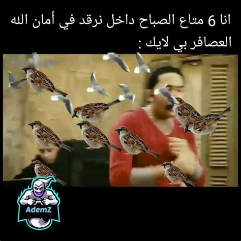 صباح الخير Rfinelmeme