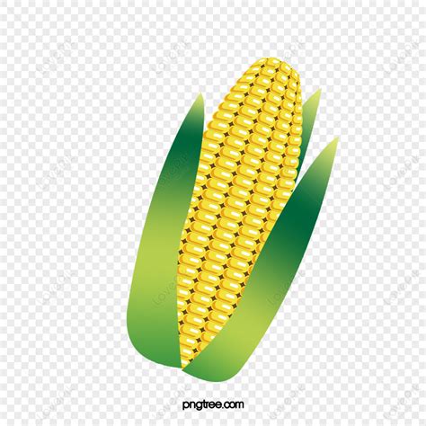 만화 손으로 그린 그라디언트 옥수수 일러스트 그림음식저작권 Png 일러스트 무료 다운로드 Lovepik