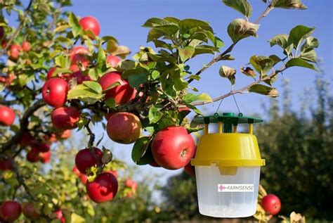 Farmsense Launches Real Time Pest Monitoring System Flightsensor