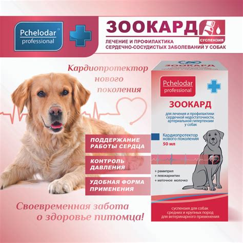 Зоокард Средство для лечения заболеваний сердца у собак средних и ...