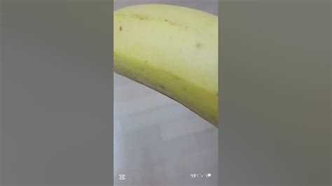 뎃글금지🙅‍♀️01 저녁 브이로그 Youtube